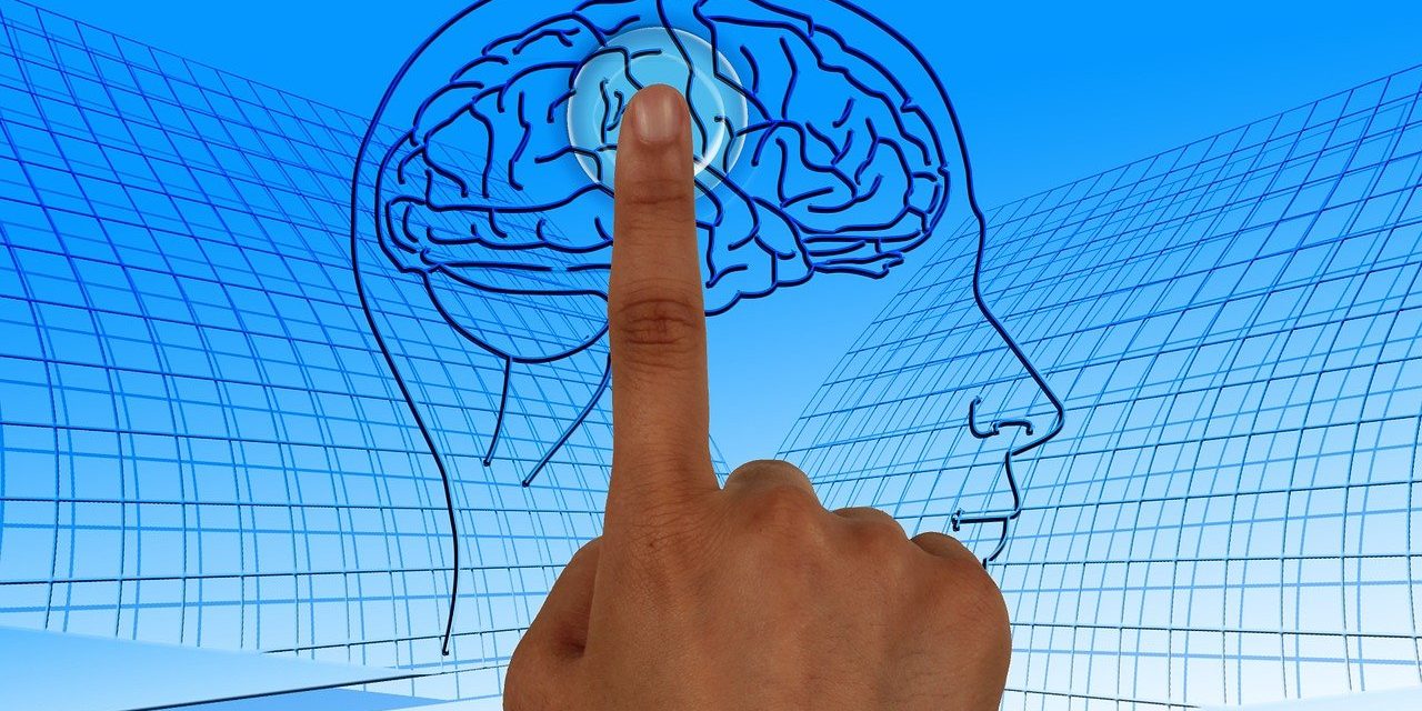 3-D ‘Heat Map’ Animation Shows How Seizures Spread in the Brains of ...