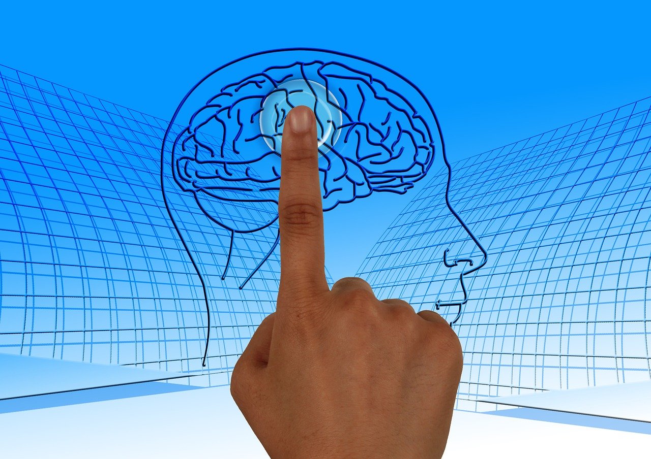 3-D ‘Heat Map’ Animation Shows How Seizures Spread in the Brains of ...
