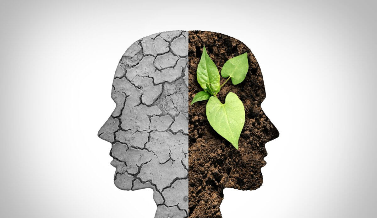 The Brain and Climate Change – Epilepsy Agency of the Big Bend (EABB)